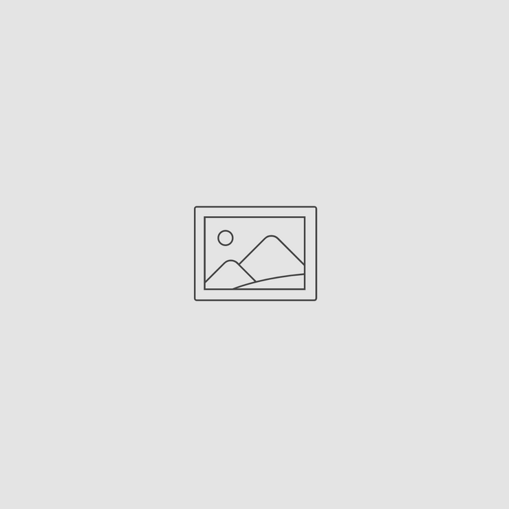 EBI Electric Bikes | Ultra-Light Carbon E-Bikes for City & Adventure ...